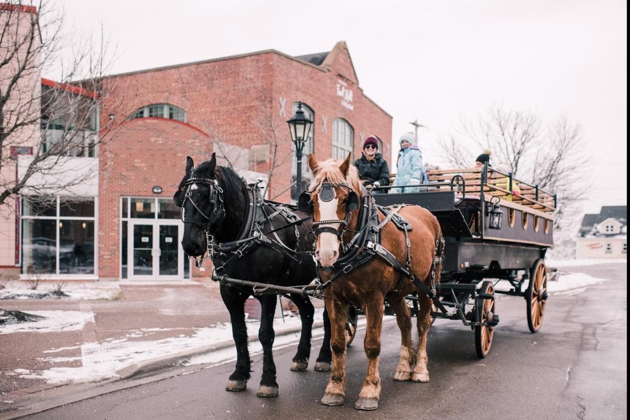 Private Carriage Tour for 20 People | Powered by Givergy