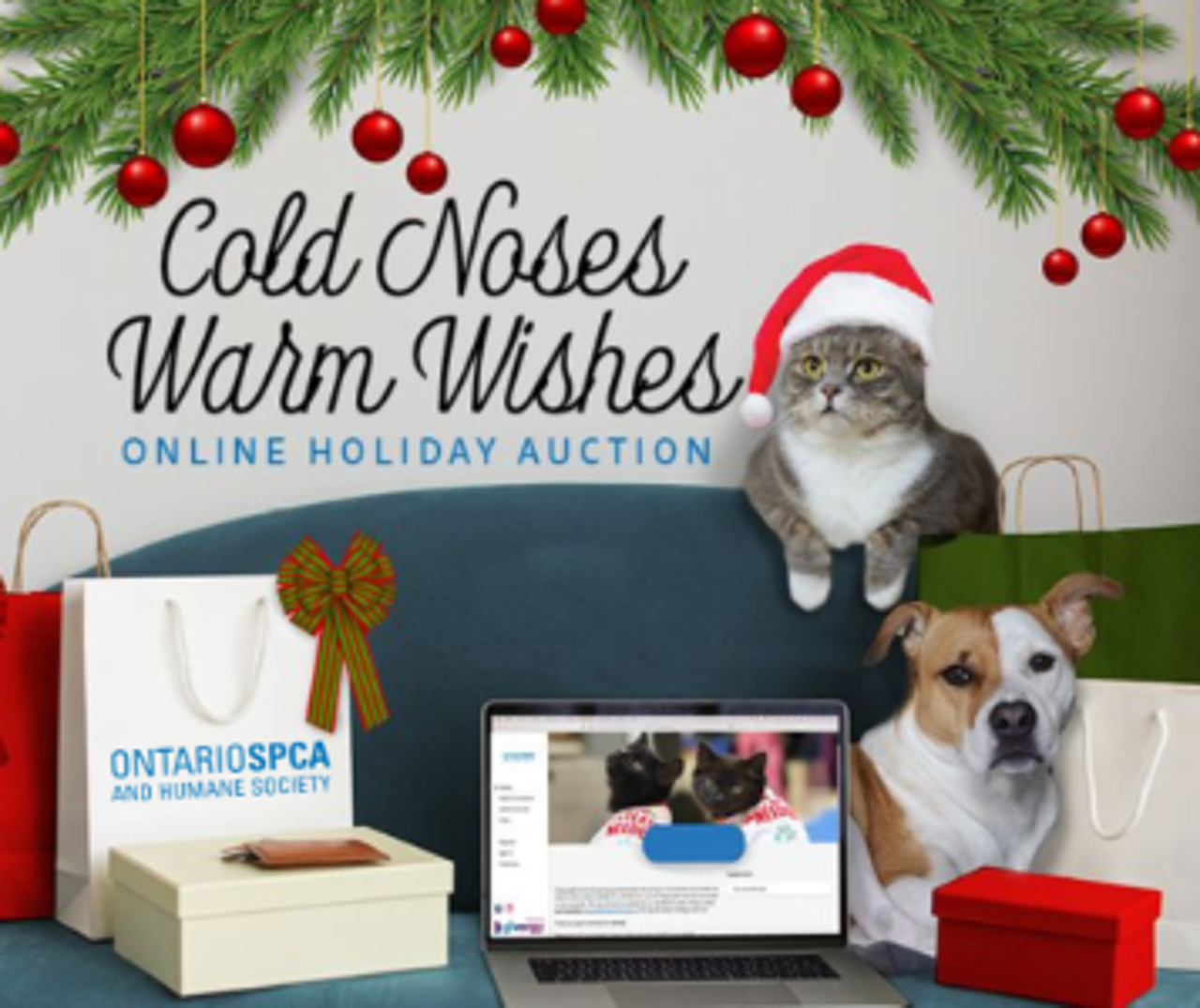 5th Annual Cold Noses Warm Wishes Holiday Auction 2025 | Powered by Givergy