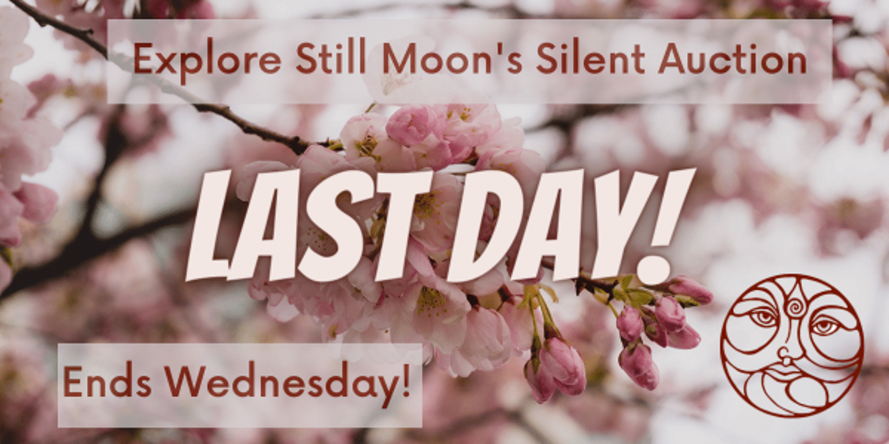 Still Moon Arts | Powered by Givergy