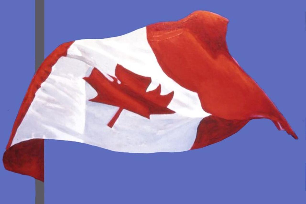 THE PAINTED FLAG by Charles Pachter | Powered by Givergy