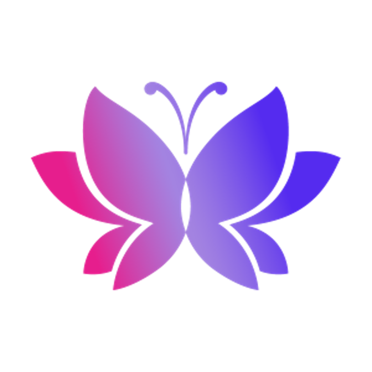 Dixon Transition Society's 14th Annual Christmas Fundraiser | Powered by Givergy