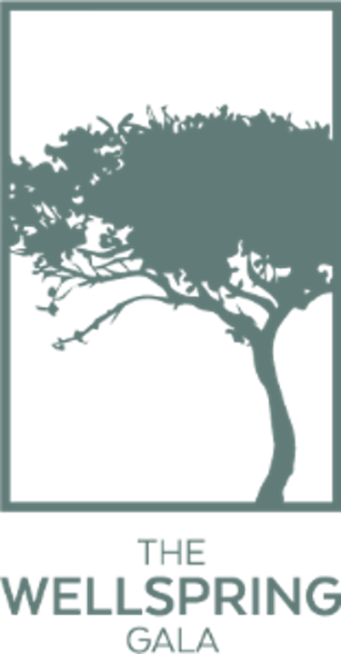 The Wellspring Gala 2022 | Powered by Givergy