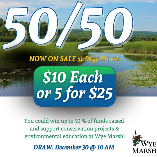 Wye Marsh: Connecting for Conservation 2024 | Powered by Givergy