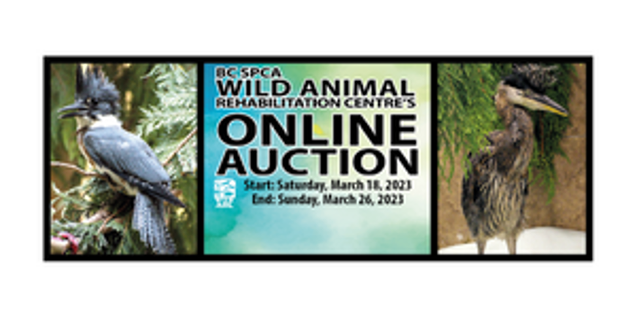 Wild ARC Spring into Wildlife Auction | Powered by Givergy