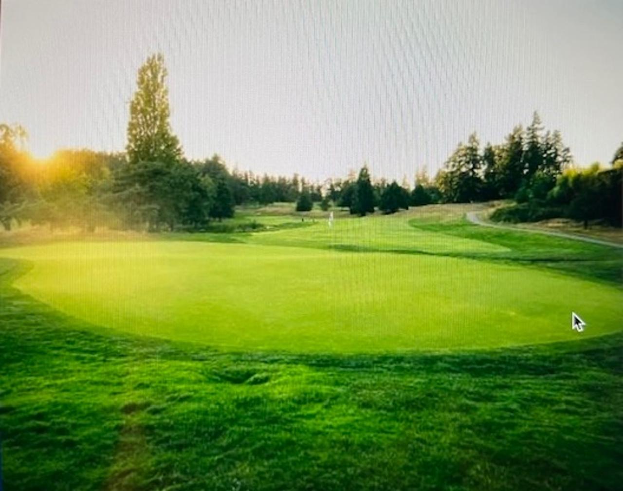 Gorge Vale Golf Club 4 rounds of golf c/w carts (MV $540) | Powered by ...